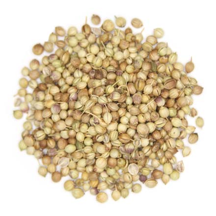 Coriander Seeds In Hindi